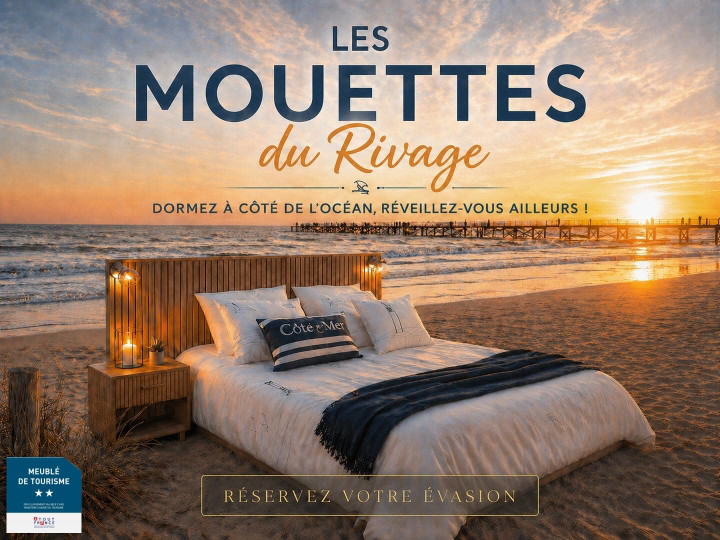 Les Mouettes Du Rivage. - Saint-Jean-de-Monts