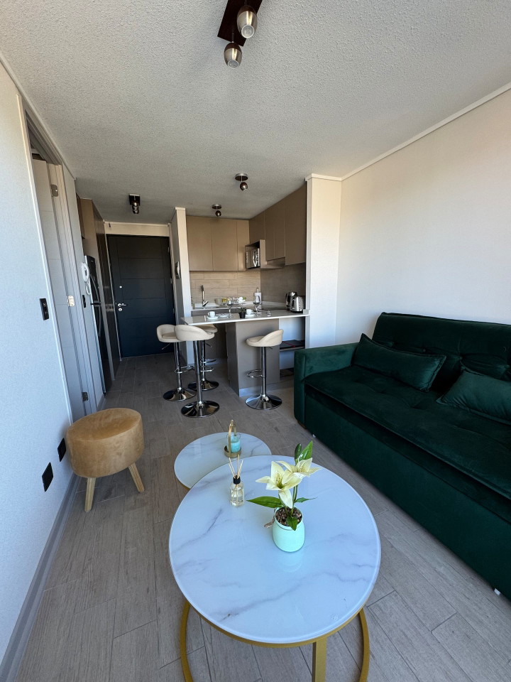 Apartment With Terrace For 2 And/or 4 People. - Concepción, Chile