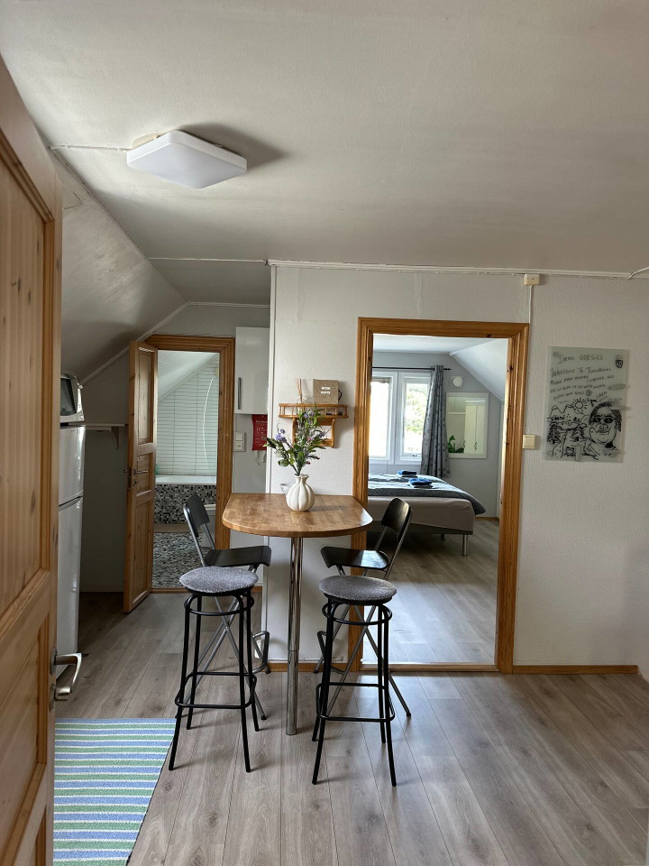 Attic Apartment With 3 Bedrooms - Trondheim