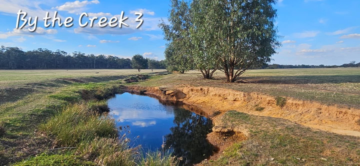 Bendigo Campsite By Creek At Somerville Park - Bendigo
