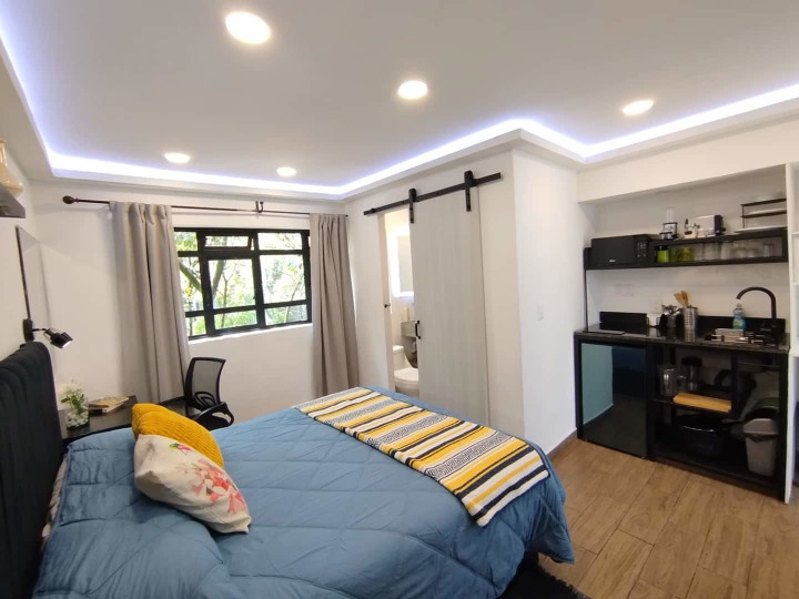 Condesa *Arrivée 24&nbsp;H/24&nbsp;&&nbsp;Confort&nbsp;&&nbsp;Jardin Sur Le Toit - Mexico City