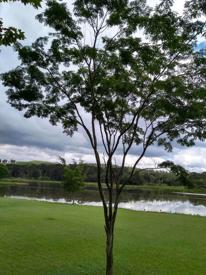 Casa De Campo Na Rota Do Vinho São Roque Sp - São Roque