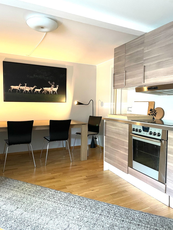 2br Apt + Parking Near Center @ Attractive Ekeberg - Oslo