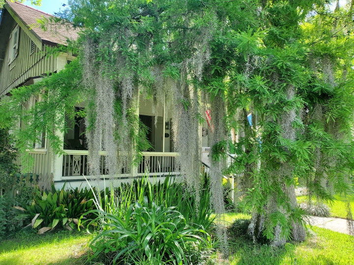 Old Mandeville Guesthouse On Claiborne - Mandeville, LA