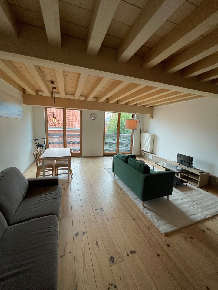 Fully Equipped Apartment 70 M2 - Bryssel