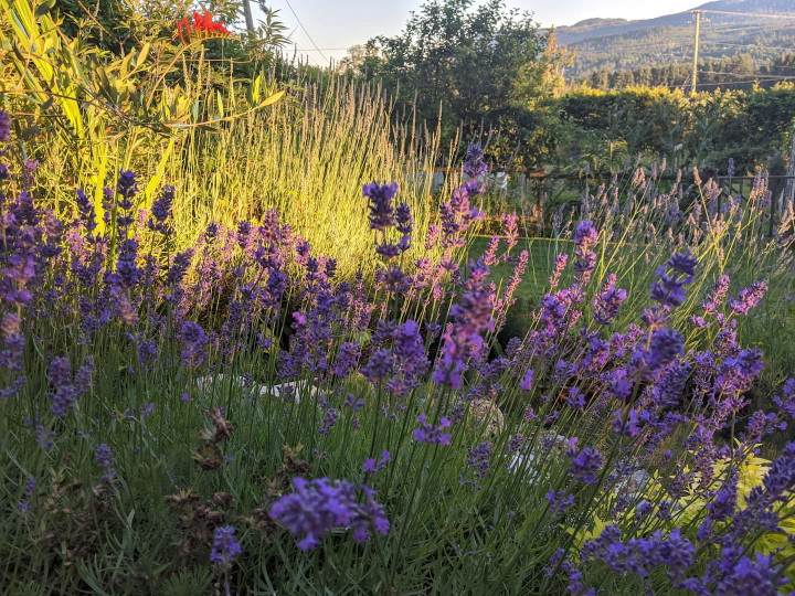 Coastal Garden Inn - Cowichan Bay
