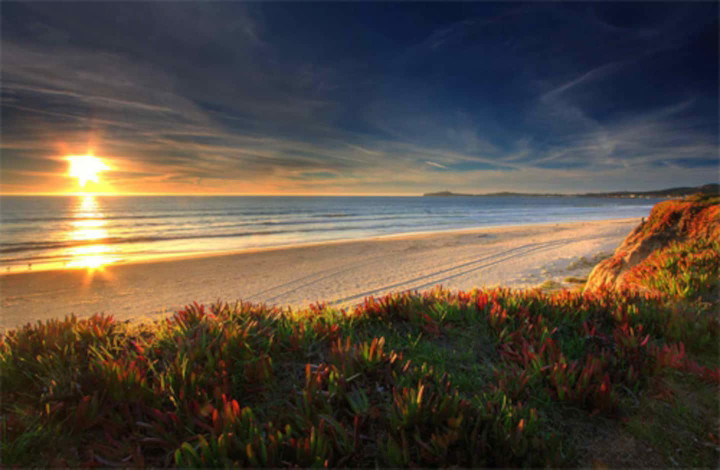 Cozy Quiet Cabin W/firepit-walk To Beach & Harbor - Half Moon Bay, CA