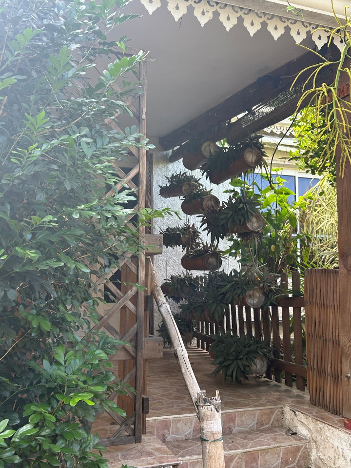 Ti Bois De Nèfles Coco - Bambou - Saint-Pierre