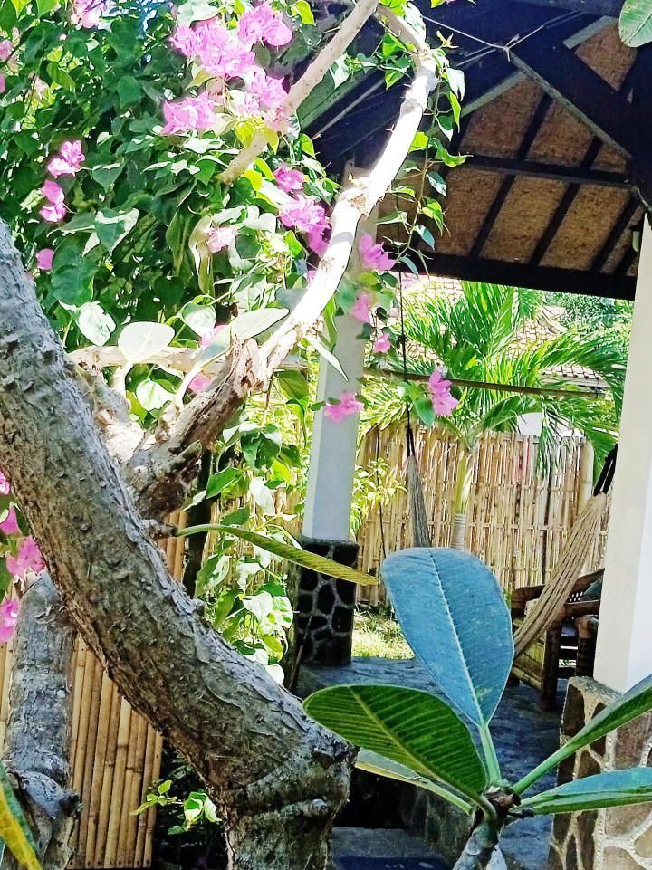 Gili Air Santay 3 Rooms 1 - Islas Gili
