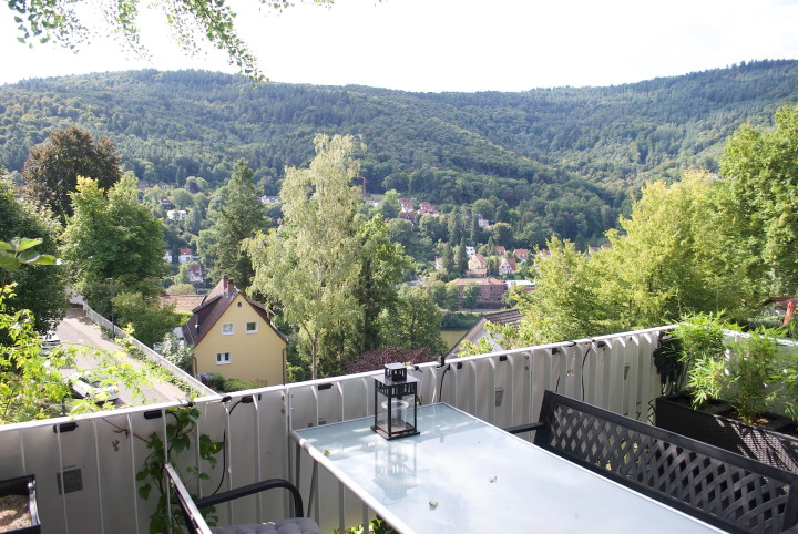 Apartment In Heidelberg With Neckar View - Heidelberg