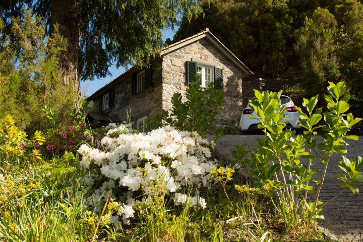 Cedro - A Cottage Surrounded By Nature! - Madeira Island