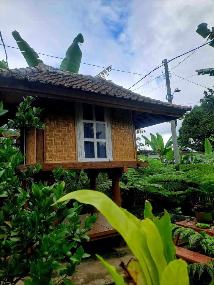 Cabin In Farm Homestay - Lombok