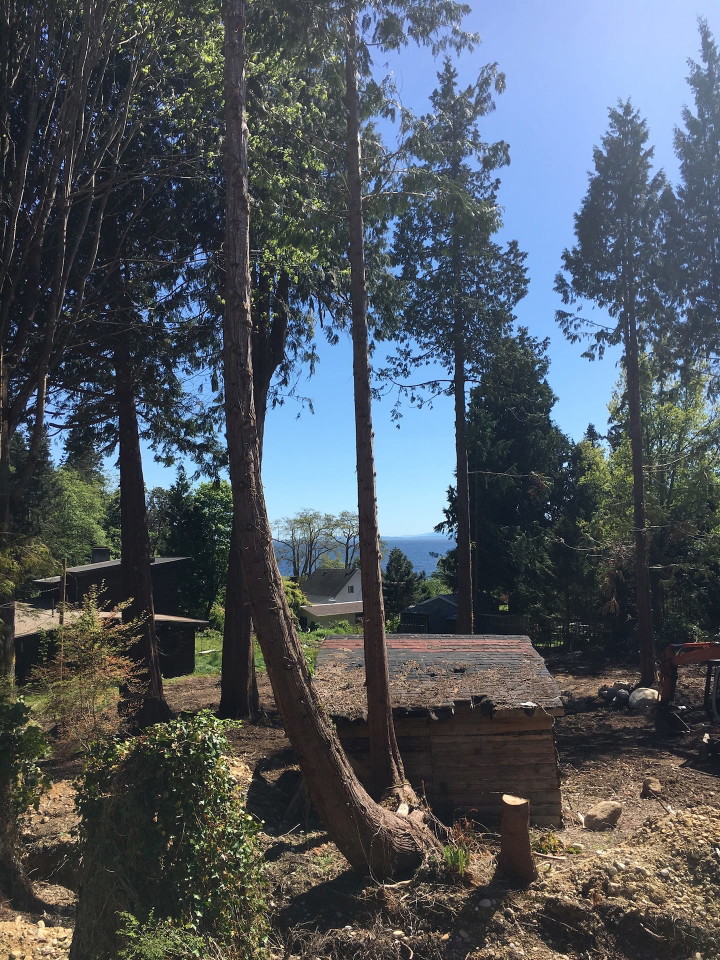 Roberts Creek Home With A View - Sechelt