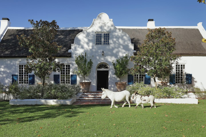 A Season Of Farm Life At San Gabriel Homestead - Cape Town
