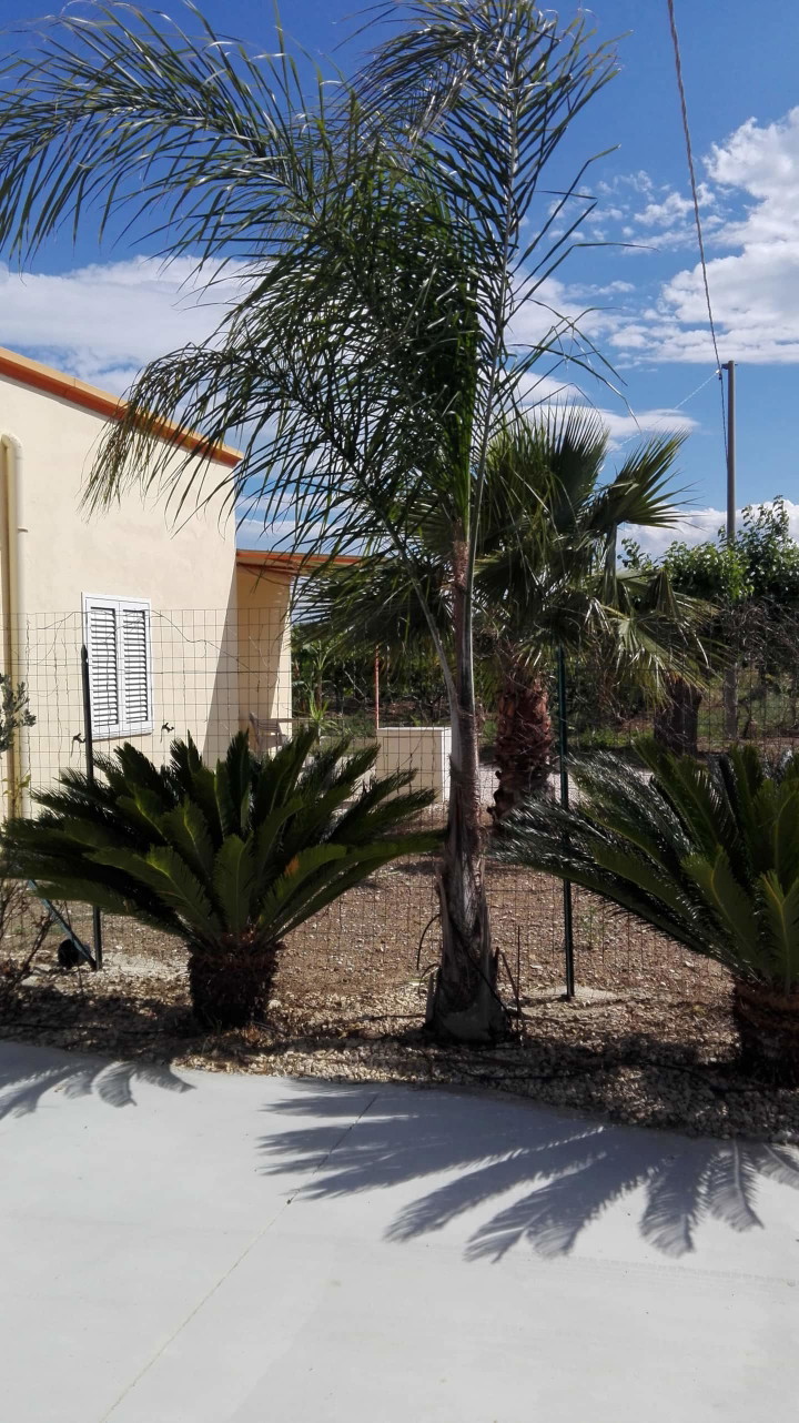 Casa Vacanza Il Girasole - Policoro