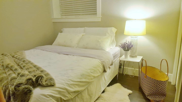 Vancouver Heights - Suite Deal! - Burnaby