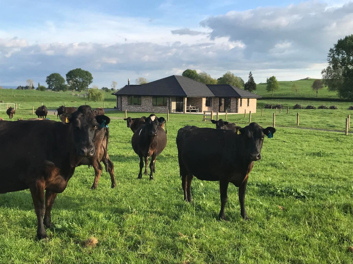 Willow View - Matamata