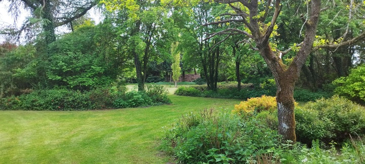 Slå Telt Op I Naturfyldt Have På Landet - Denmark
