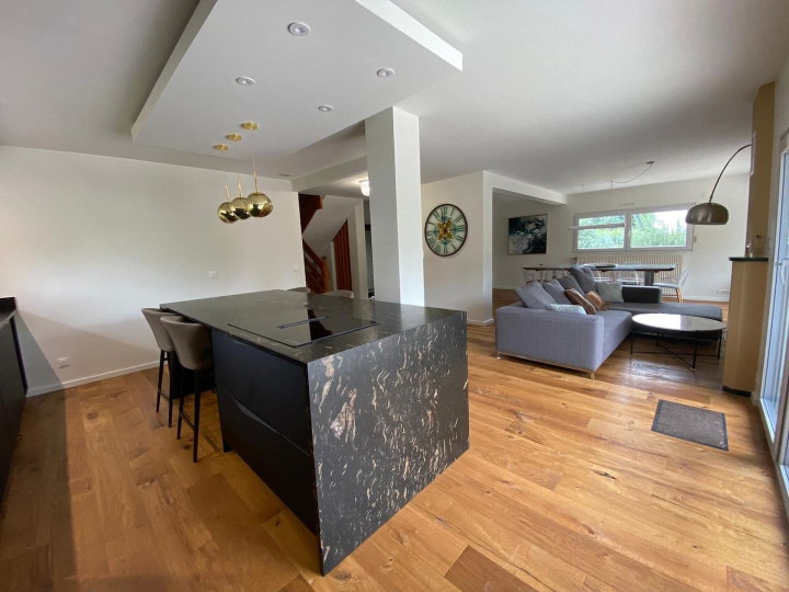 Maison De Haut Standing 15 Mn Saint-louis/basel - Haut-Rhin