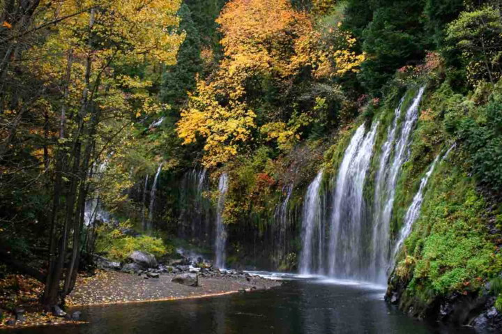 The Birds Nest, Walk To Waterfalls, Breakfast - Dunsmuir, CA