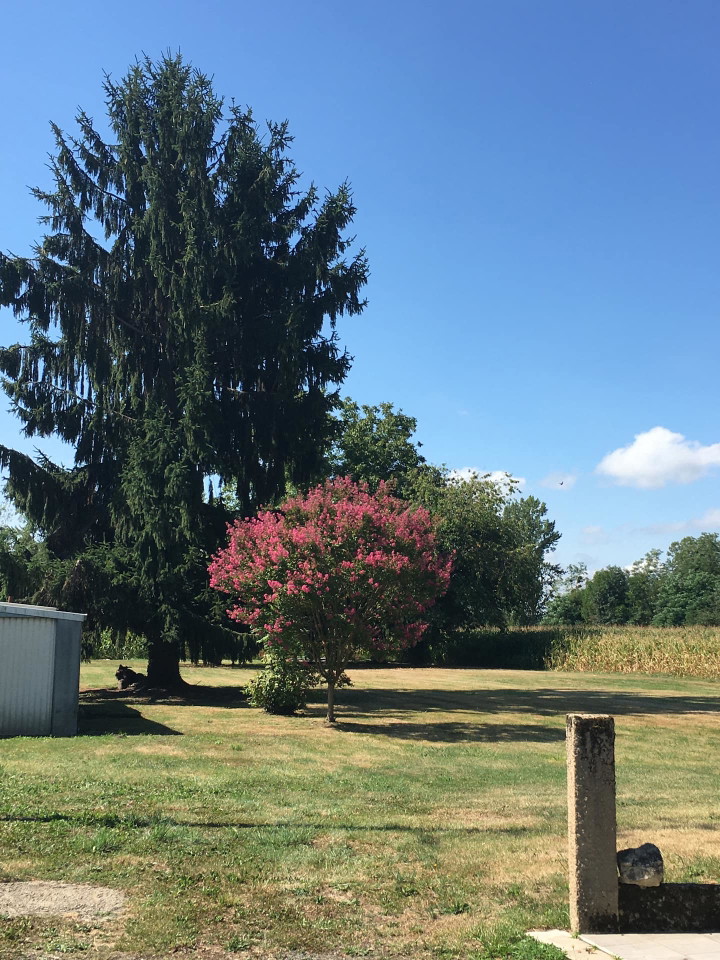 Chez Les Filles - Hautes-Pyrénées