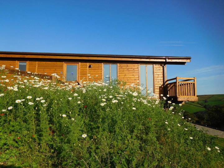 2 Log Cabins Stunning Views, Near Cardiff, Wales. - Porthcawl