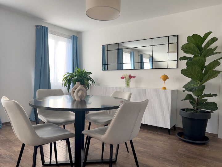 Cozy And Spacious Modern Duplex In Bern - Bern