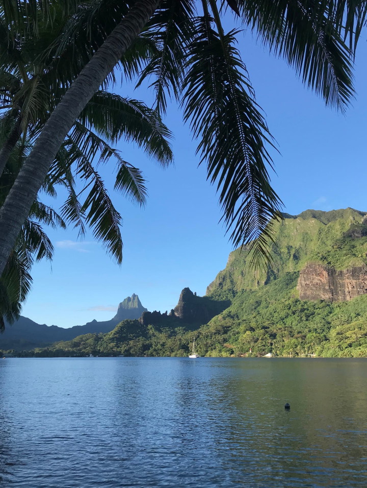 Fare Hotu Cook S Bay - French Polynesia