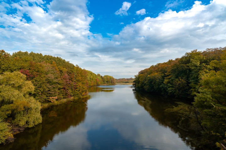 Walk To Cafe Or Bar | Kayak+bike *Near Dunes - Pentwater, MI