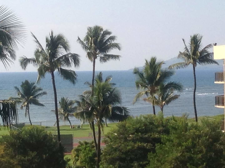 Oceanfrontmaui Sunsetopflr! Ask4a2-3 Mo 4 Less$ - Maui, HI