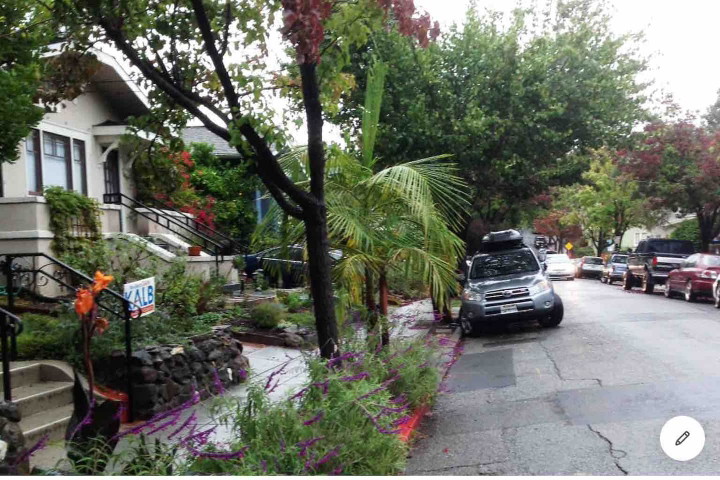 Piedmont Ave One Bedroom Cottage! Perfect Serenity - Berkeley
