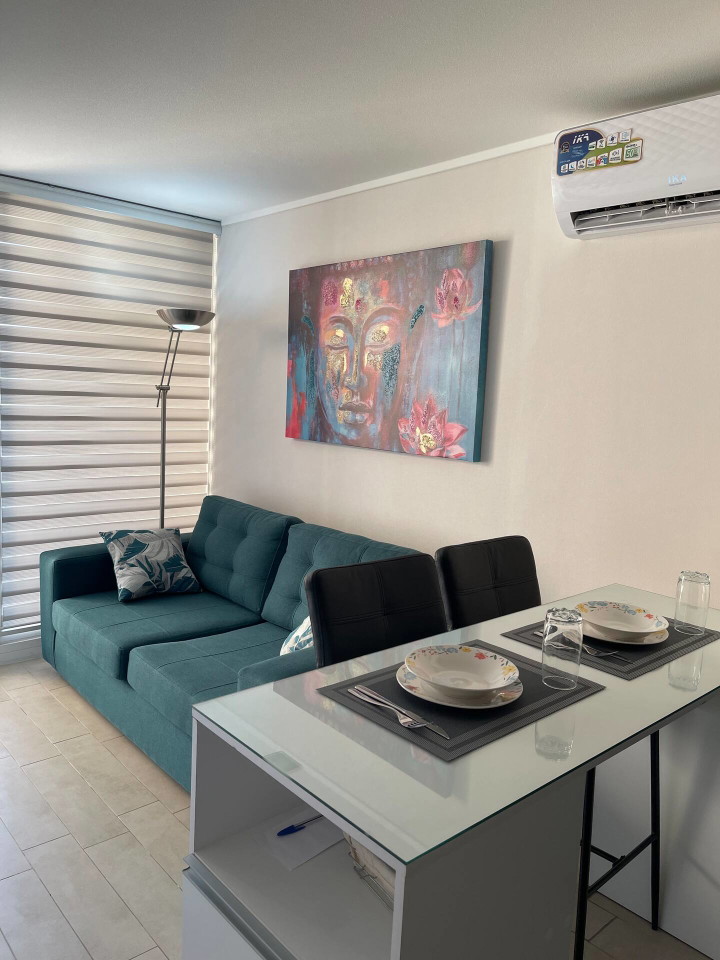 Modern Apartment With Pool, A/c And Wifi - Santiago