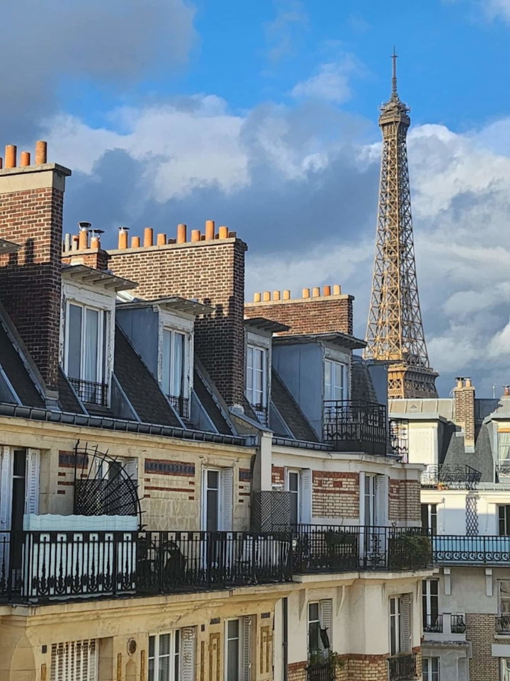 Elegant Eiffel Tower View Flat - Paris