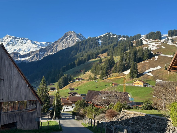 Chalet Desirée Alpenpanoramablick Gartenwohnung - Adelboden