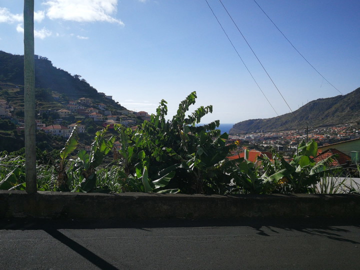Family House In Madeira - Madeira