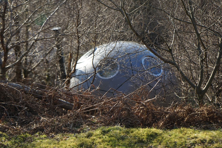 Moon Conker, Wild Glamping Tree Pod Outdoor Bath - Builth Wells