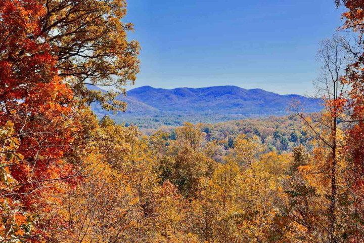 The Cozy Cottage With The Illusion Of Seclusion - Asheville