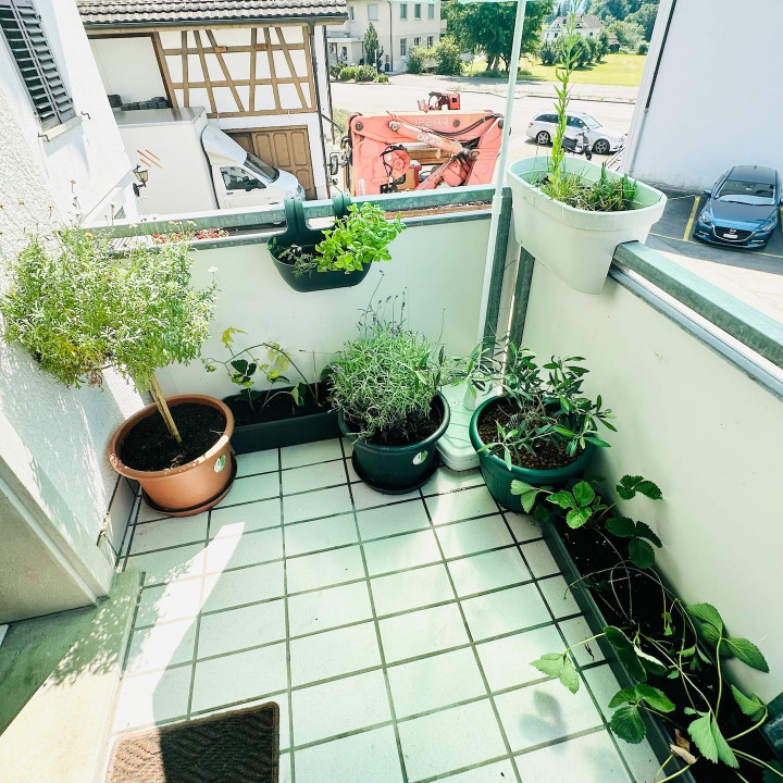 Grand Studio Pour Séjour Vacances Et Travail - Rapperswil-Jona