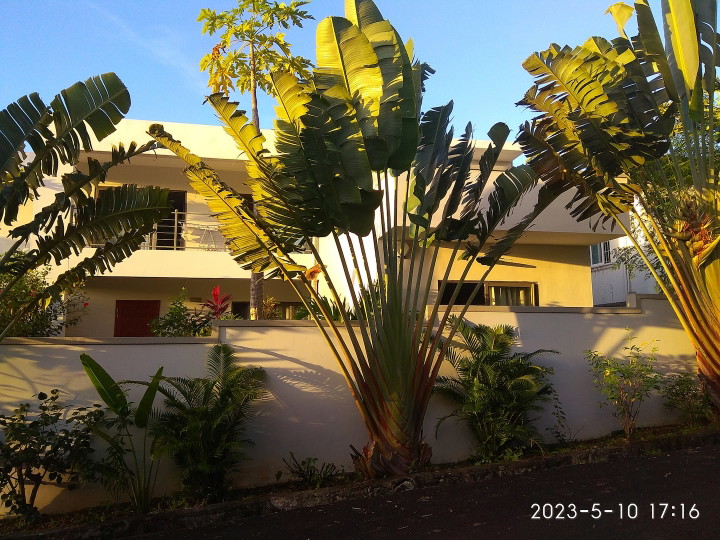 La Papaya Residence - Mauritius