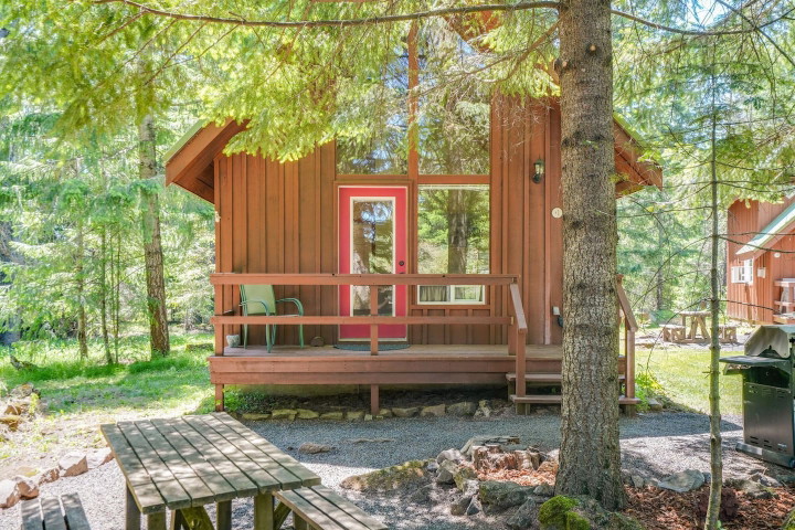 Mt. Adams Cozy Cabin Retreat - Trout Lake, WA