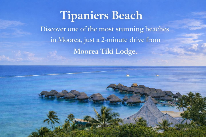 Moorea Tiki Lodge - Tiki Oa'oa - Bungalow 2 - French Polynesia