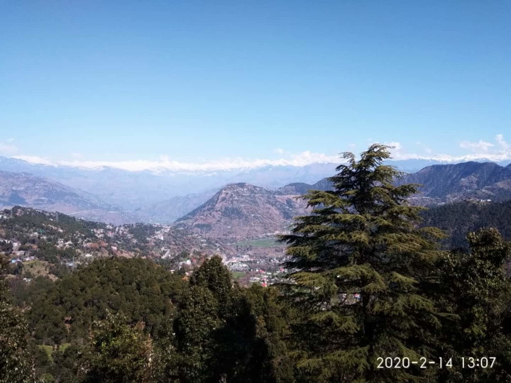 Green Woods - Dalhousie