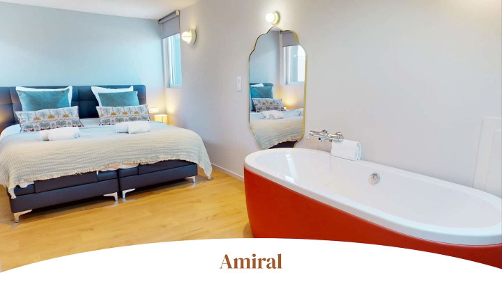 L'amiral Appartement 1 Chambre - Résidence Champ D - Colmar