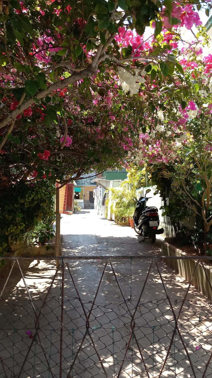 Lovely Private Home 100 Meters From The Beach - Varadero