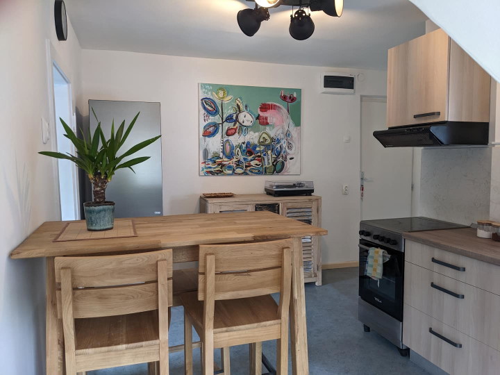 Apartment Vilma - Celje