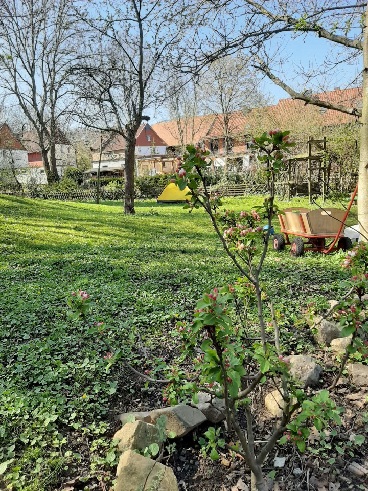 Idyllisches Gartenhäuschen Im Großen Garten - Bad Harzburg