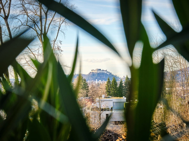 Alpenblick Karl - Salzburg