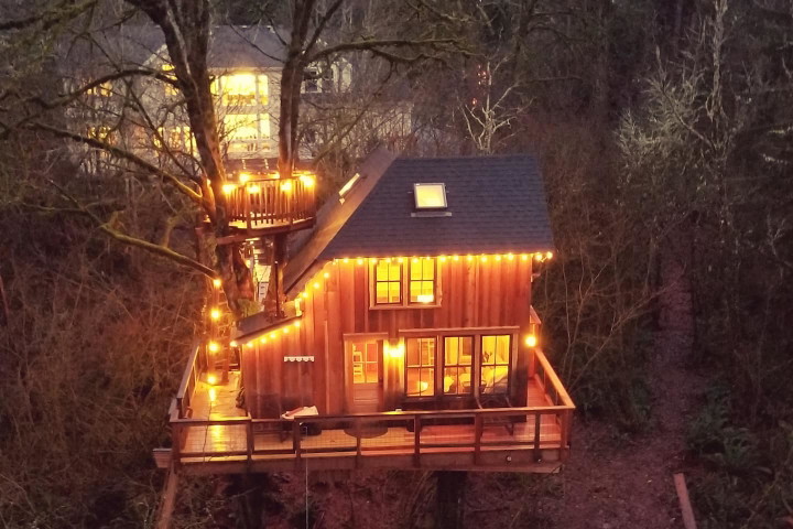 Emerald Forest Treehouse - From Treehouse Masters - Redmond, WA