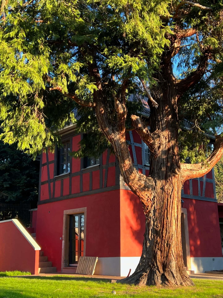 Le Parc Du Séquoia 4*: Le Séquoia Near Colmar - Colmar