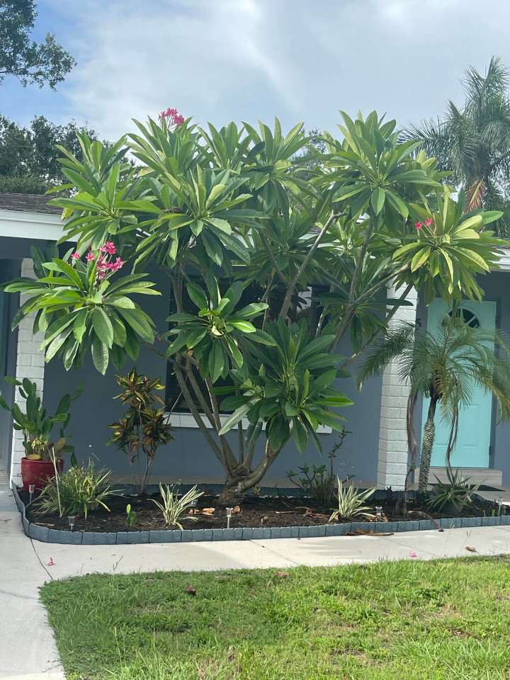 Close To Downtown. - Fort Myers